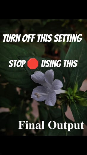 Pro Mode Photography Tutorial#mobilephotography#viral#viralshorts#photographytips#mobilephotography