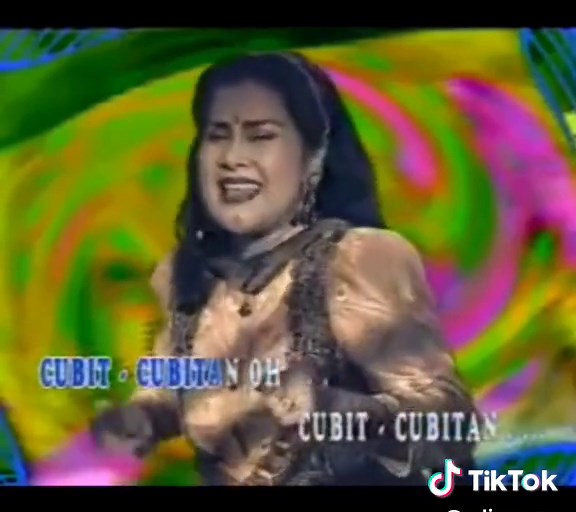 Elvy Sukaesih - Cubit Cubitan