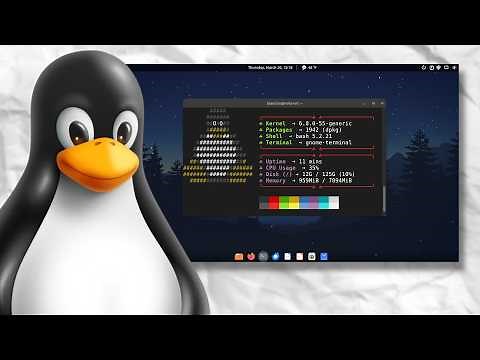 the BEST Linux Distro for Beginners