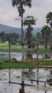 65K views · 1.6K reactions |  | First Heart | Facebook