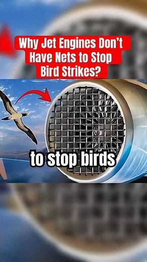 Why Jet Engines Don’t Have Nets to Stop Bird Strikes? 🛫
