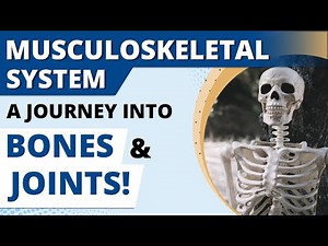 Musculoskeletal System A journey into bones and joints #musculoskeletalsystem #bonesandjoints
