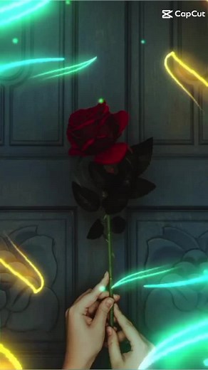 Captivating Rose Animation with CapCut Effects