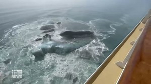 273K views · 3.2K reactions | The heart-stopping moment a cruise ship hit an iceberg has been caught on camera by terrified passengers. The vessel was heading to Alaska's Hubbard Glacier when it had the "Titanic moment" that forced it to limp back to port for repairs. Read more: 9Soci.al/JjGR30snf1t #9News | Nightly at 6pm | 9 News Sydney | Facebook