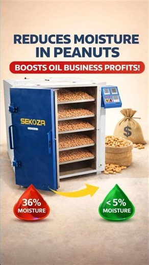 Why Peanut Drying Is Important Before Oil Extraction?