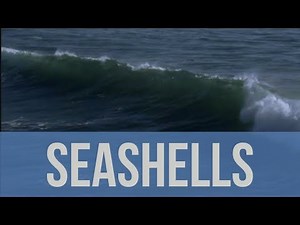 Seashells (original song)