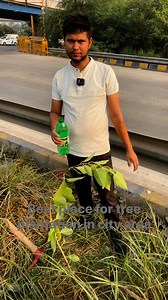 14K views · 958 reactions | Best place for tree plantation in city area | we plant 10,000 trees on road divider in Delhi | Trees Plants Info | Facebook
