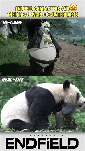 That's sooooo cute #arknightsendfield #arknights #endfield #Ardelia #fyp