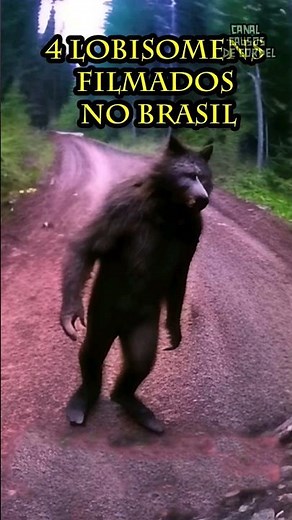 WEREWOLVES 4 FILMED IN BRAZIL #haunting #werewolfbrazil #werewolf #paranormal