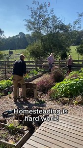 Follow us to learn more homesteading and family based life skills. #homesteading #organic #permaculture #homesteadliving #homegrown #growyourown #gardening #healthy | Big Little Farm