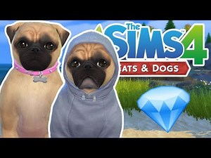 DANTDM'S PUGS! | The Sims 4 YouTuber Pets | Episode 16