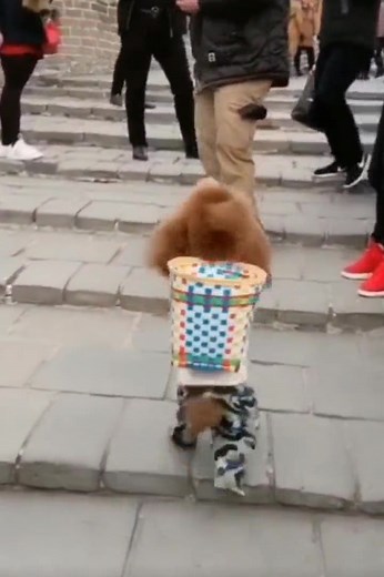 #рекомендации❤️❤️❤️