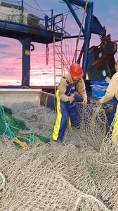 119K views · 582 reactions | Sewing the net back together on sunrise. This is a specialised skill that is not learnt in one trip at sea. Someone that can mend net is a very valuable asset to any commercial vessel that uses a net eg (trawling,pilchards,shark) vessels | On The Deck - Footage from Australia's Commercial Fisherman | Facebook
