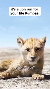 126K views · 3K reactions | The Lion King 2109 ❤ Run for your life Pumbaa  #TLK2019 #movieclips | Anthony Abero | Facebook