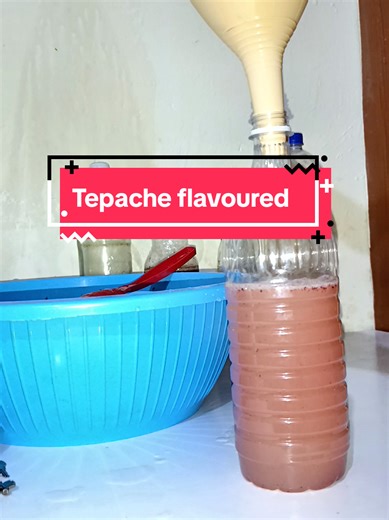 Tepache: The Probiotic Drink for Gut Health