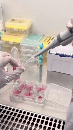 Isolation of Stem Cells. Science in Action: Tissue Dissociation Protocol! #cells #cellculture 🔬