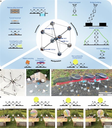 Modular robots assemble into bridges, shelters and tools for outdoor tasks