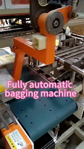 Bagging Machine for Boxes, Bottles & Pouches | Smooth Seal, High-Speed Automatic