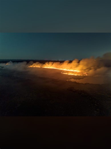 Challenges in Scottish Timber Forestry This Year