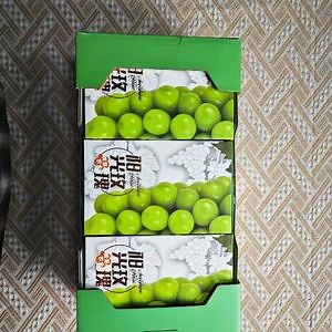 [Hot Item] Shine Muscat Grape High Brix Value OEM Packaging Private Label Service