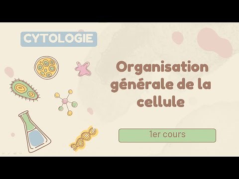 Cytology | General cell organization - 1st year medical course