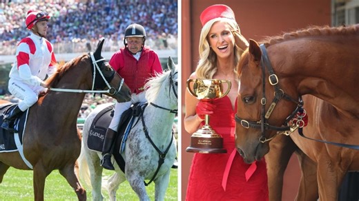 Billy Slater reveals unique Melbourne Cup role