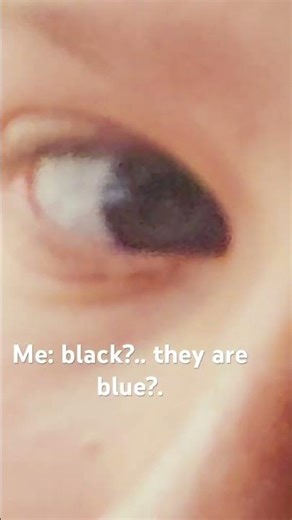 Sorry for the bad graphics