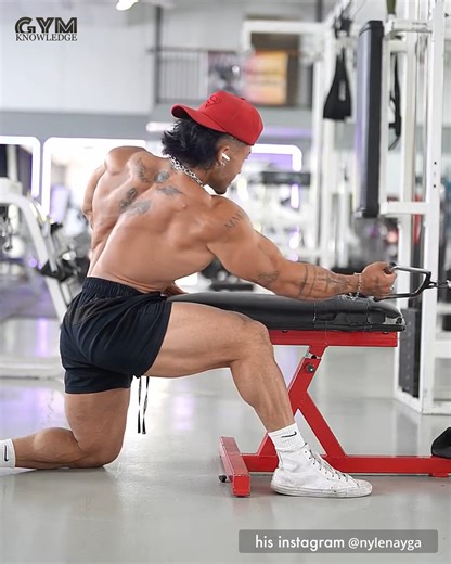 4 Solid Back Day Exercises For You By Nylenayga Fitness | Gym Knowledge