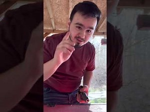 Kimber Micro 9 First Shots Review!