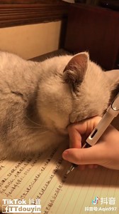 8.5K views · 102 reactions | Life is so funny | Video Clip | Facebook