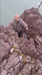 pesca en puerto deseado ria pez gallo