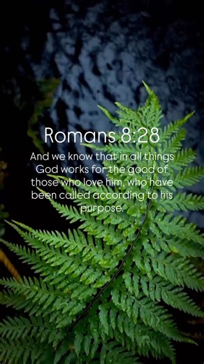 More often than not, life doesn’t always go how we expect. There are moments that confuse us, break us, or leave us wondering why things had to happen a certain way. But God sees the bigger picture—He’s not just in the good days, He’s working even in the hardest ones. Romans 8:28 reminds us that in all things, not just the easy or joyful ones, God is at work for our good. That means even when things feel like they’re falling apart, they may actually be falling into place. Maybe you’re in a waiti