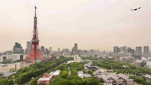 Tokyo Tower in 92 Hours: A Mesmerizing Timelapse of City Life
