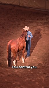 143K views · 2.4K reactions | YOU DON'T CONTROL THE HORSE, YOU...