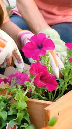 How to control speed, precision, and timing to main the hummingbird