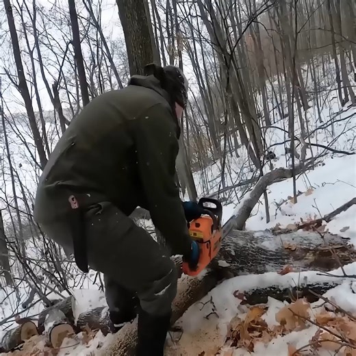 A hut in the forest, work and life in the wild. First snow | Wilderness Tracking