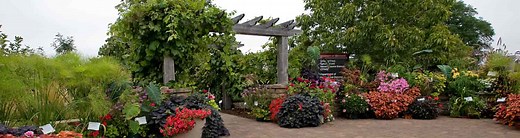 Master of Professional Studies in Horticulture