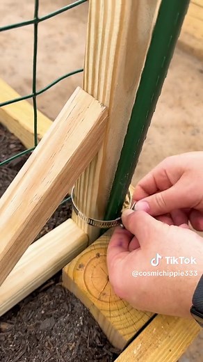 Come along as we build a cucumber trellis for our 4” x 8” raised garden beds! We used 2” x 2” pieces of wood, 4” x 50” galvanized steel PVC coated welded wire, and 8” garden stakes (which we will trade out for shorter stakes soon!) Let me know if you have any questions, happy gardening! ✌🏼🥒 #gardentrellis #gardeningdiy #gardentok #gardenproject