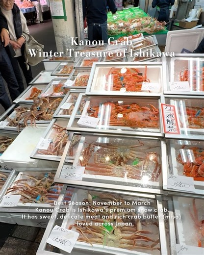 Discover Ishikawa, Japan on Reels