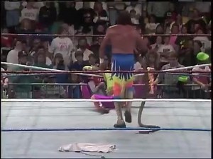 3.8K views · 25 reactions | #highlightseveryone @highlight #flypシviral #viralvideochallenge #facebookreel #challenge #wweuniverse #wwesmackdown #WWE # | Manjeet Lakhia | Facebook