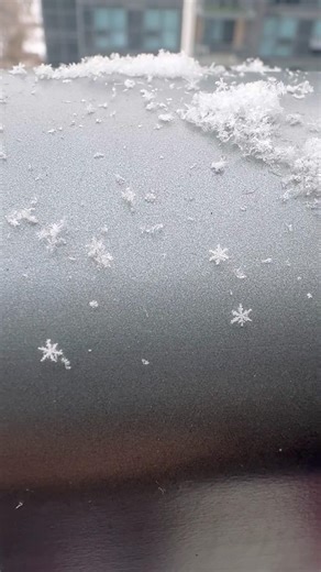 Nature’s tiny miracle❄️ #snowflakes #canada #trending #snow #viral #snowflake #nature #shorts #video