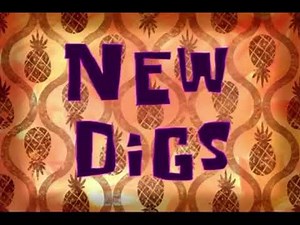 New Digs(Soundtrack/Audio)