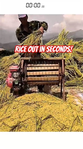 Portable Rice Thresher Machine