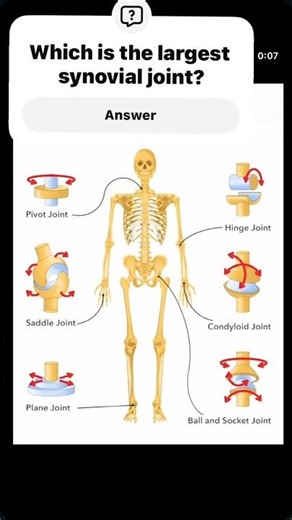 synovial joint..#shortsfeed #lifeisbutadream #mrbeast #ronaldo