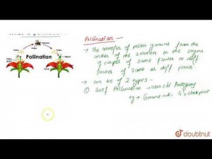 What is pollination?