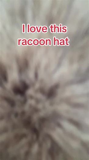 Stylish Raccoon Hat for a Cool Look