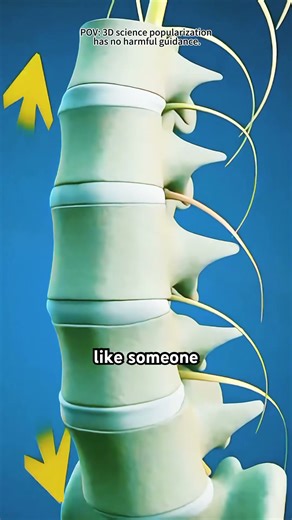 Spinal Decompression Therapy (3D Animation)