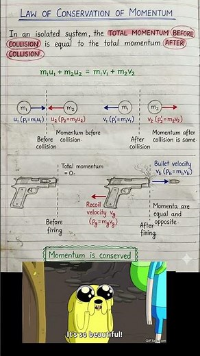 Momentum Beautiful Notes | Study Tips #phyiscs #AestheticNotes #Handwriting
