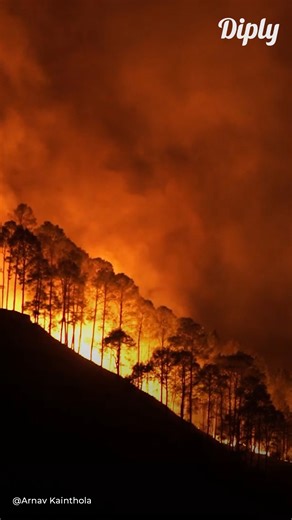 The devastating Canadian wildfires are having far-reaching effects. Credit: IG @ben_von_klemperer #lowdownreels #wildfires #environment #NYC #canada | The Lowdown