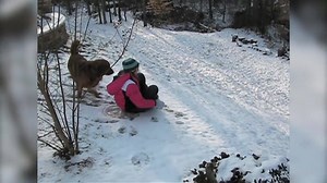 2.7K views · 117 reactions | Pure happy moments | Random joys | Facebook